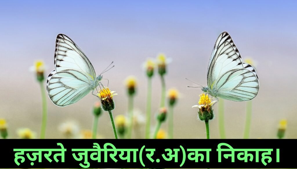 हज़रते जुवैरिया(र.अ)का निकाह।Hazarte Juberiya R.a Ka Nikah. - SUNNATEISLAM